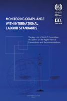 Monitoring compliance with international labour standards : the key ...