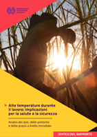 Working conditions in a global perspective : joint ILO-Eurofound report ...