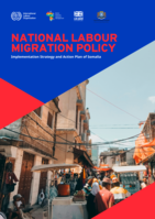 National labour migration policy: implementation strategy and action ...